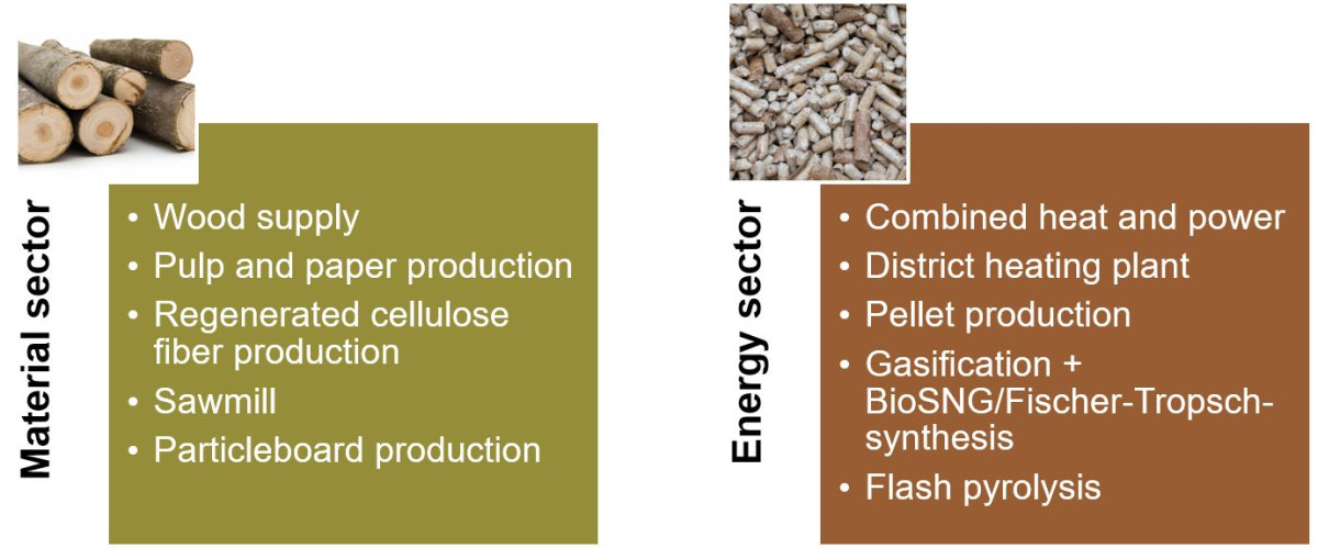 BEST bioenergy and sustainable technologies